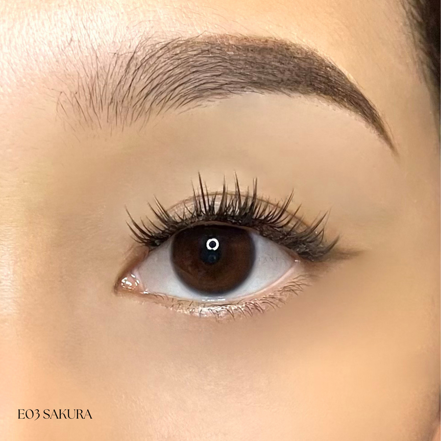 Elegance Edition - Magnetic Lashes Kit – Felix Lane